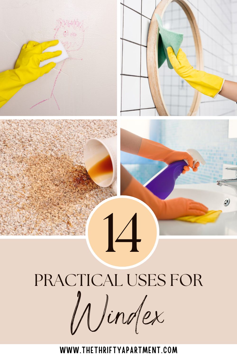 14 Practical Uses for Windex