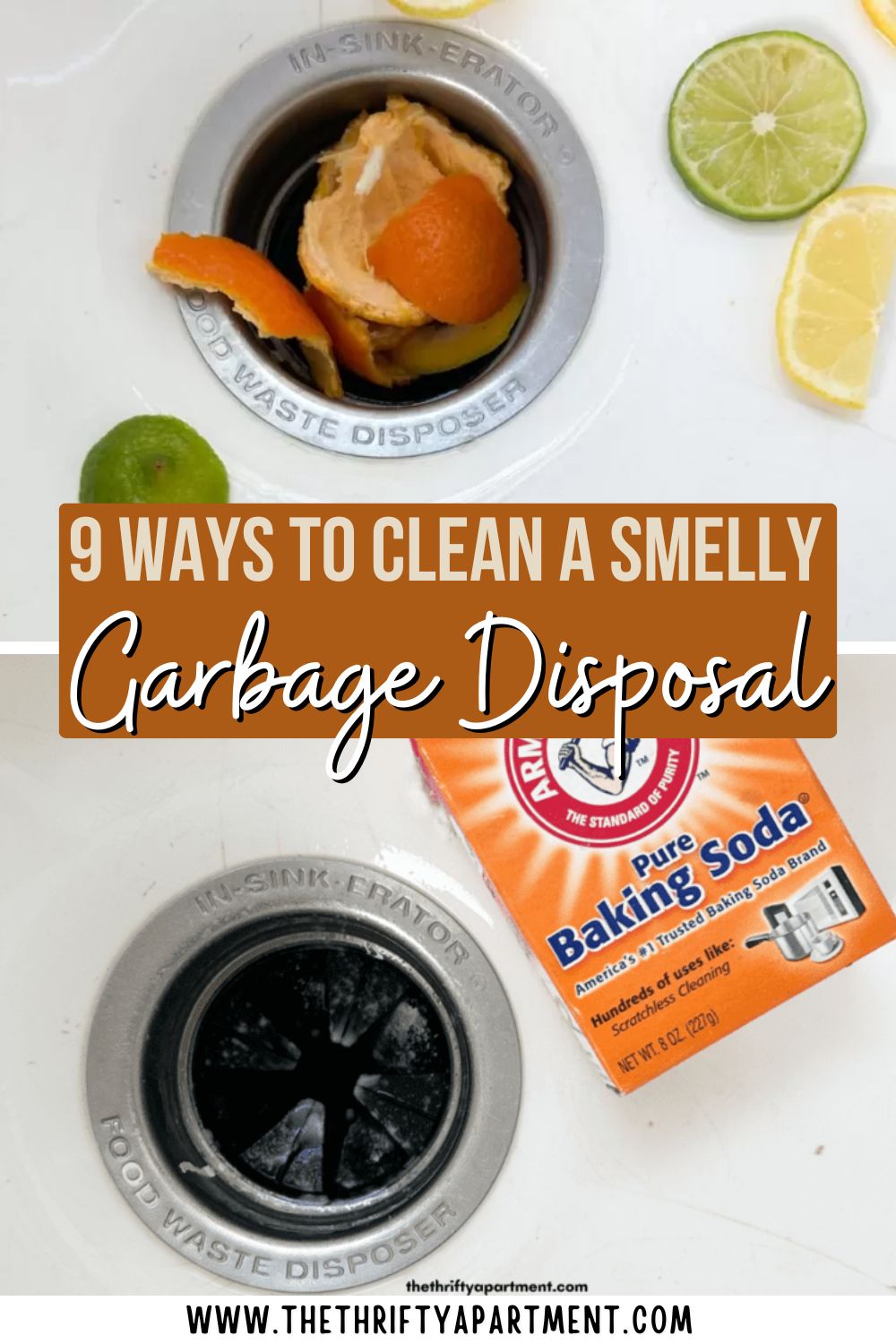 9 Ways to Clean a Smelly Garbage Disposal