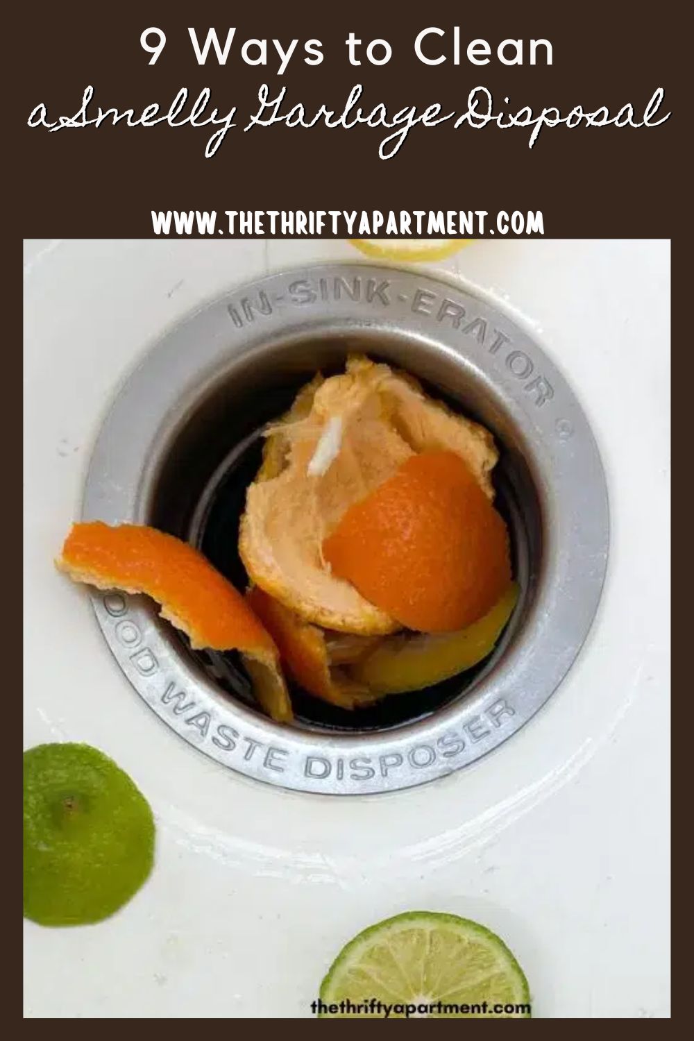 9 Ways to Clean a Smelly Garbage Disposal