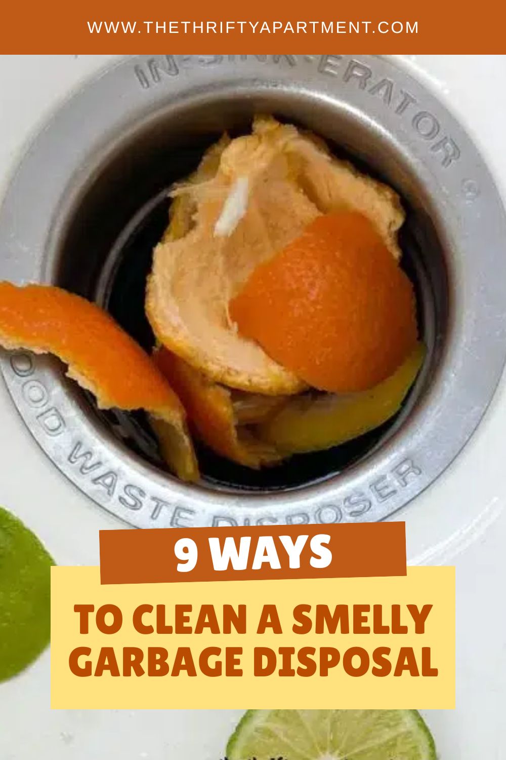 9 Ways to Clean a Smelly Garbage Disposal