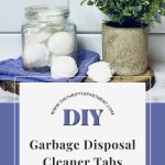 DIY Garbage Disposal Cleaner Tabs