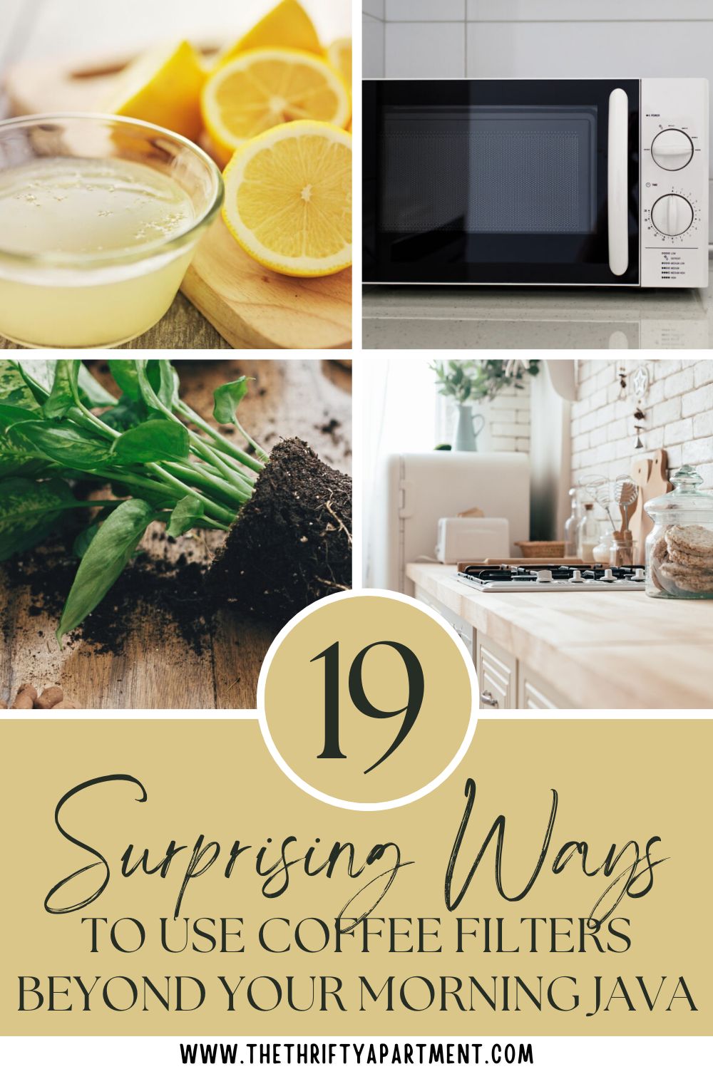 19 Surprising Ways to Use Coffee Filters Beyond Your Morning Java
