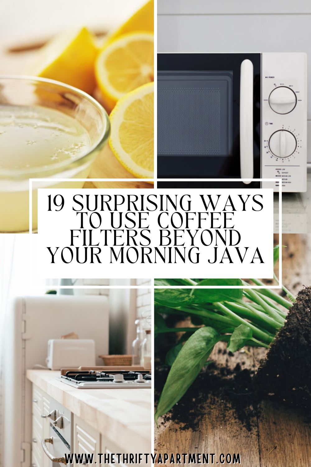 19 Surprising Ways to Use Coffee Filters Beyond Your Morning Java