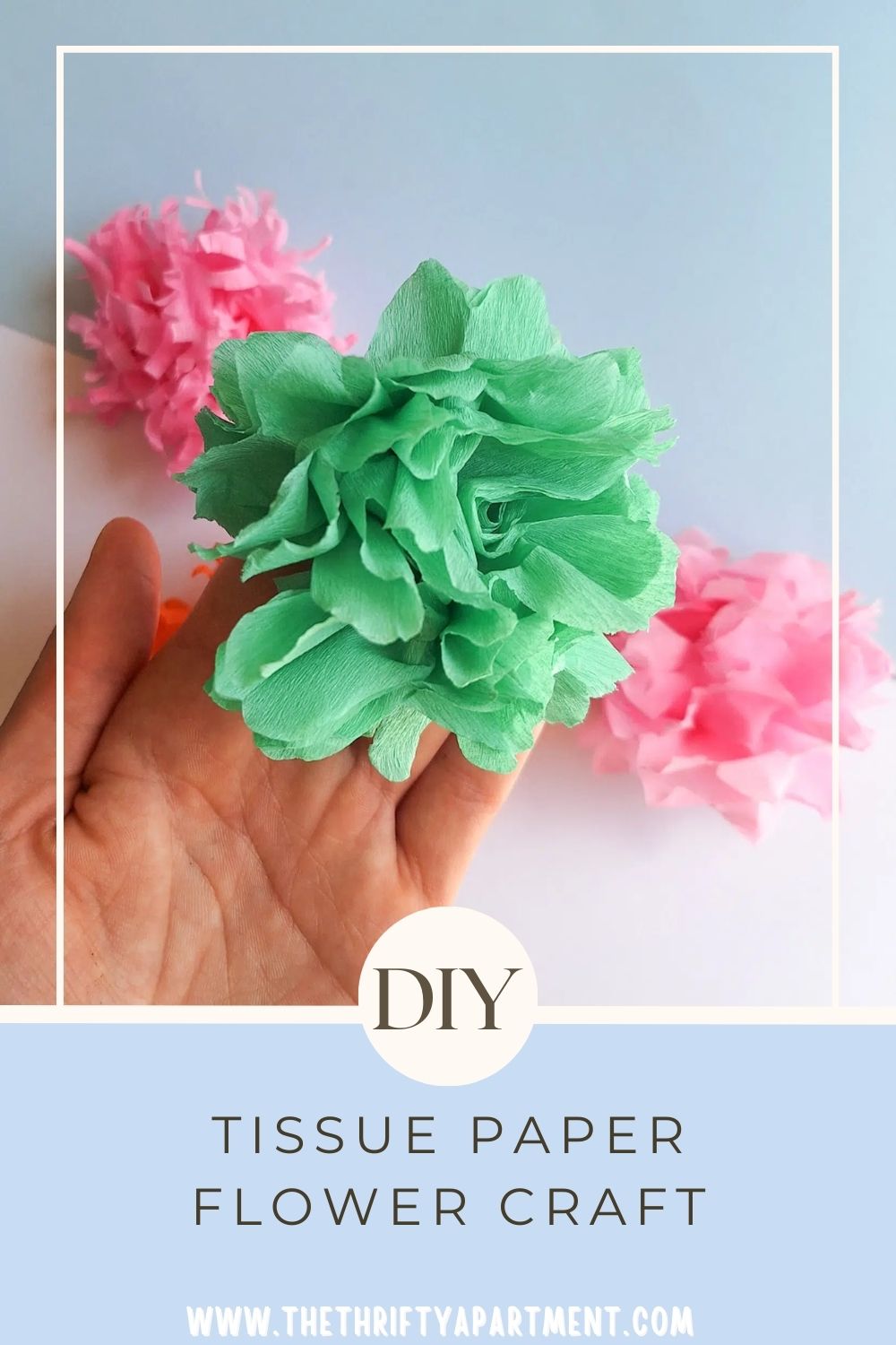 DIY Tissue Paper Flower Craft