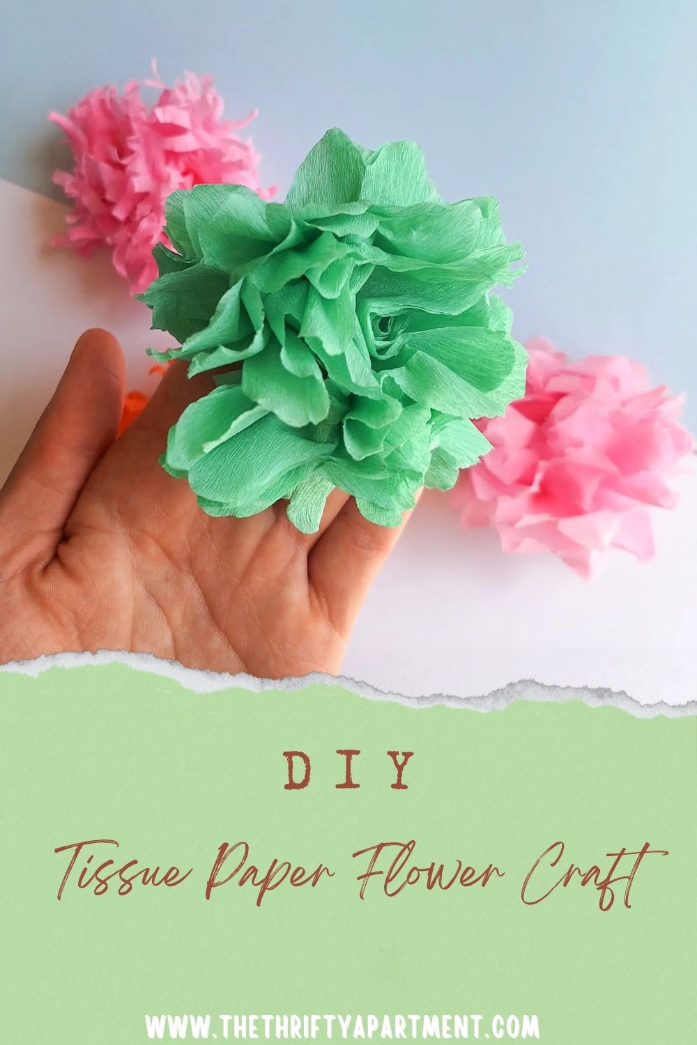 DIY Tissue Paper Flower Craft